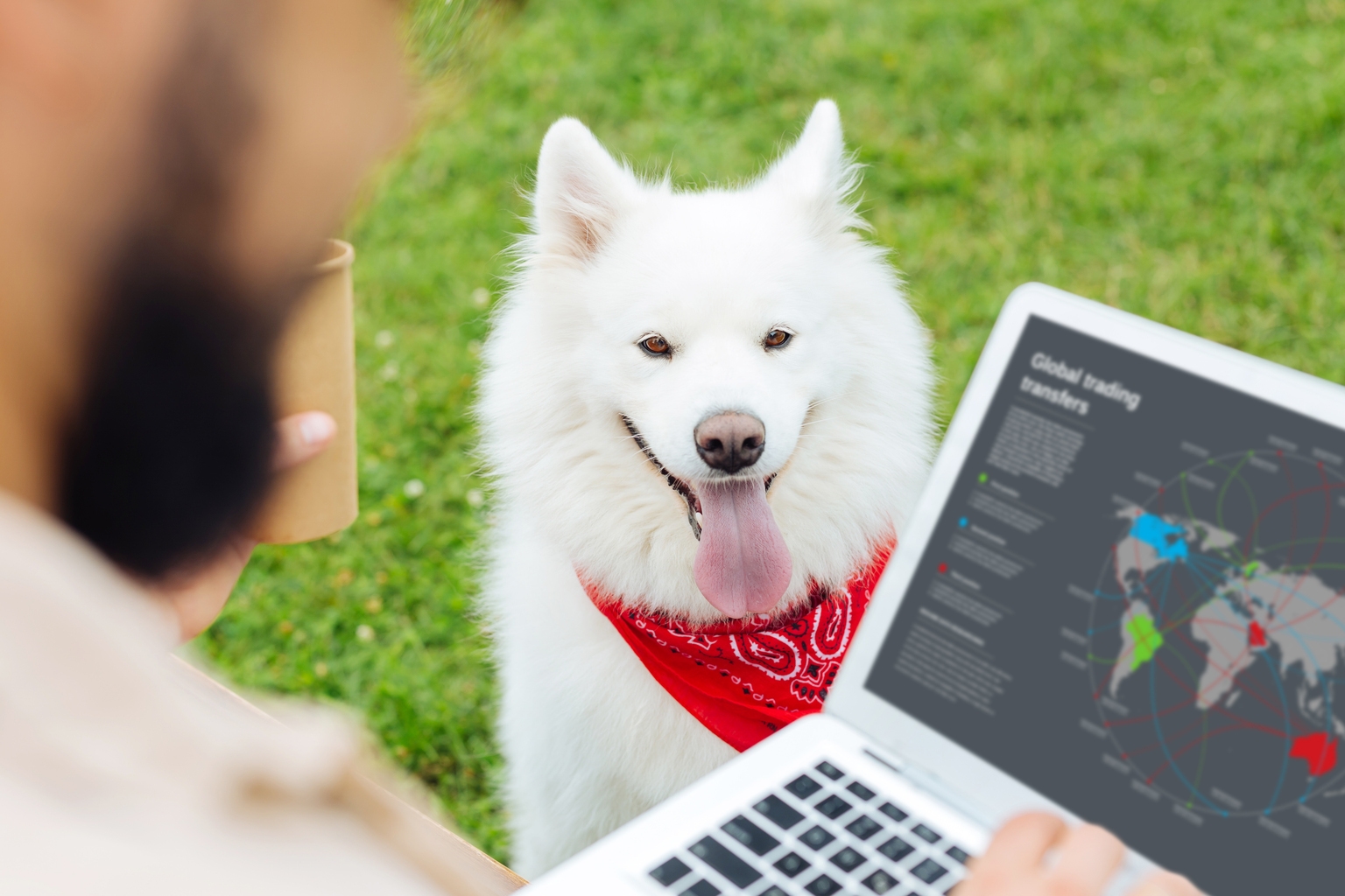 3 Ideal July Buys & 7 To Watch From 47 “Safer” Dividends In 100 Barron ...