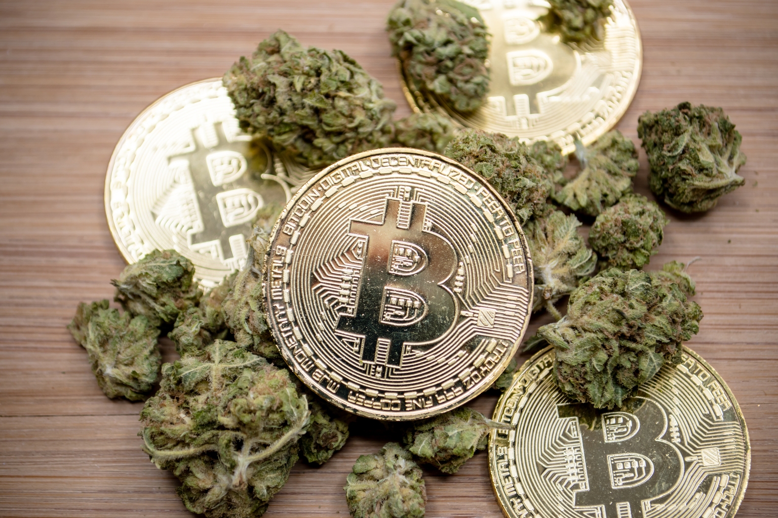 Are These ETFs Cheap Yet? Crypto, Cannabis, Chips | Seeking Alpha