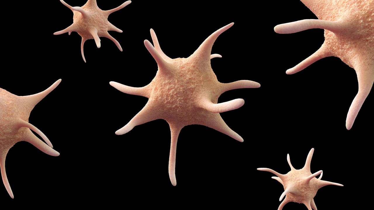 Health Canada approves extended shelf life for Cerus' blood system ...