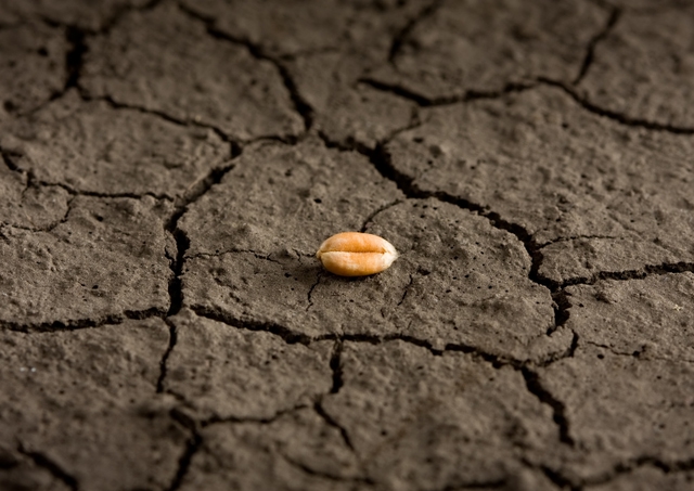 Weekly Commentary: 'The Last, Best Hope of Earth' | Seeking Alpha