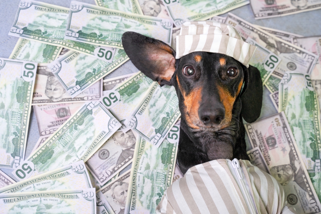 MLPI: Supercharging MLPs For 15% Yields (BATS:MLPI) | Seeking Alpha