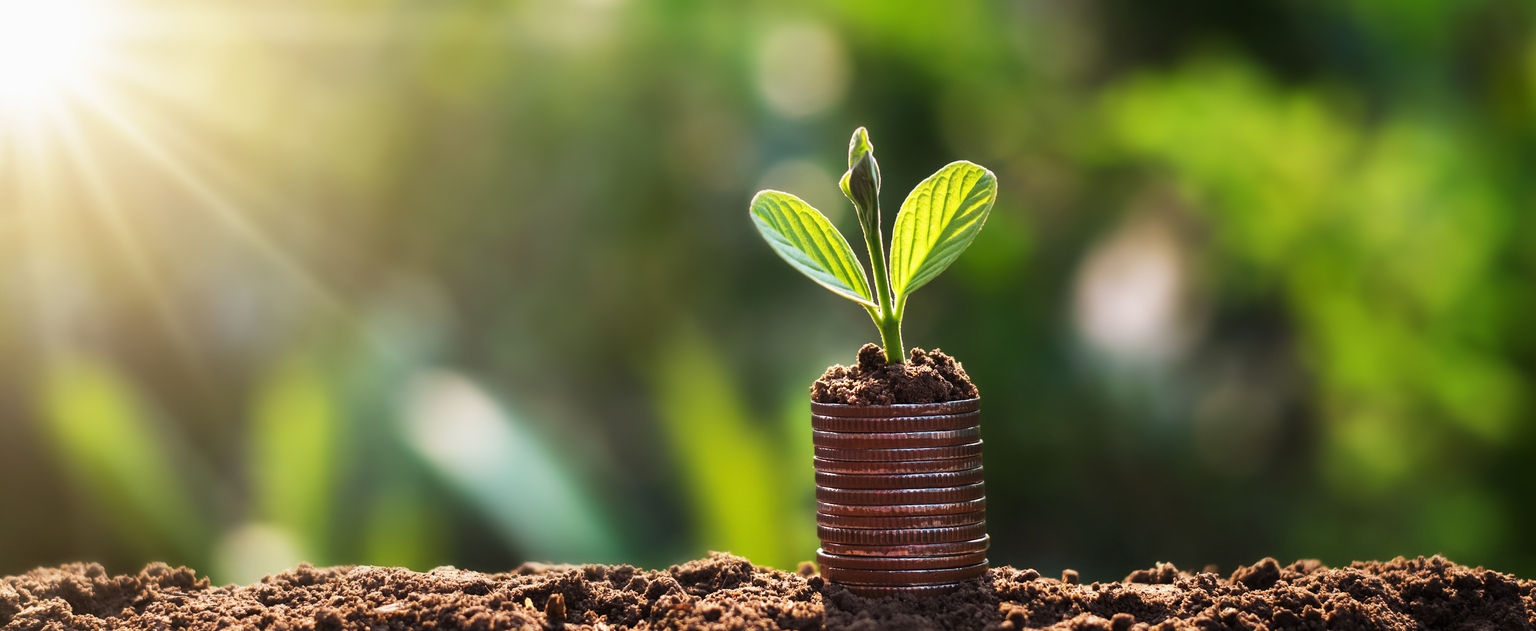 Alger Small Cap Growth Fund Q4 2025 Commentary | Seeking Alpha