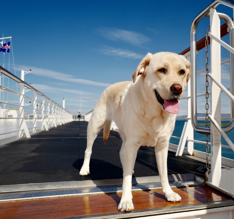 REXR Q4 2024 Earnings Update (NYSE:REXR) | The REIT Forum | Seeking ...