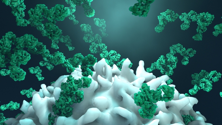 Immunome up 25% on collaboration with AbbVie with for novel cancer drug ...