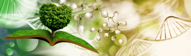 Bio-Techne: Coveted Life Sciences Asset On Sale Due To Academic ...