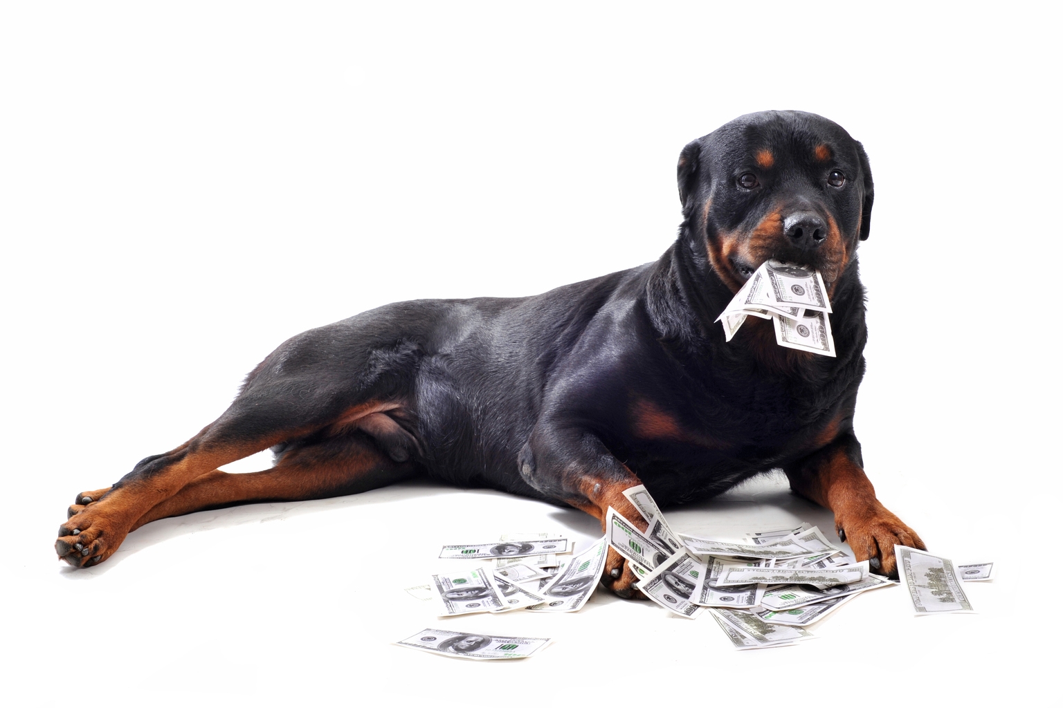 SDOG: Look At SCHD Instead (NYSEARCA:SDOG) | Seeking Alpha