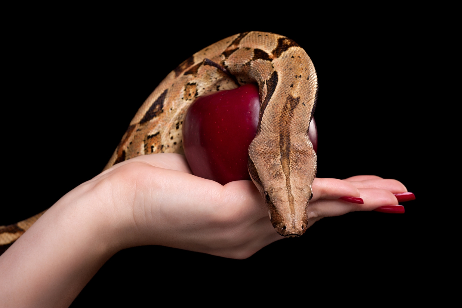4 'Sin Stocks' With Moral Implications | Seeking Alpha