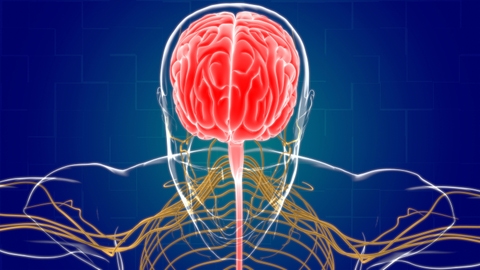 Voyager Therapeutics’ TRACER Platform Targets CNS Market: Here’s Why I ...
