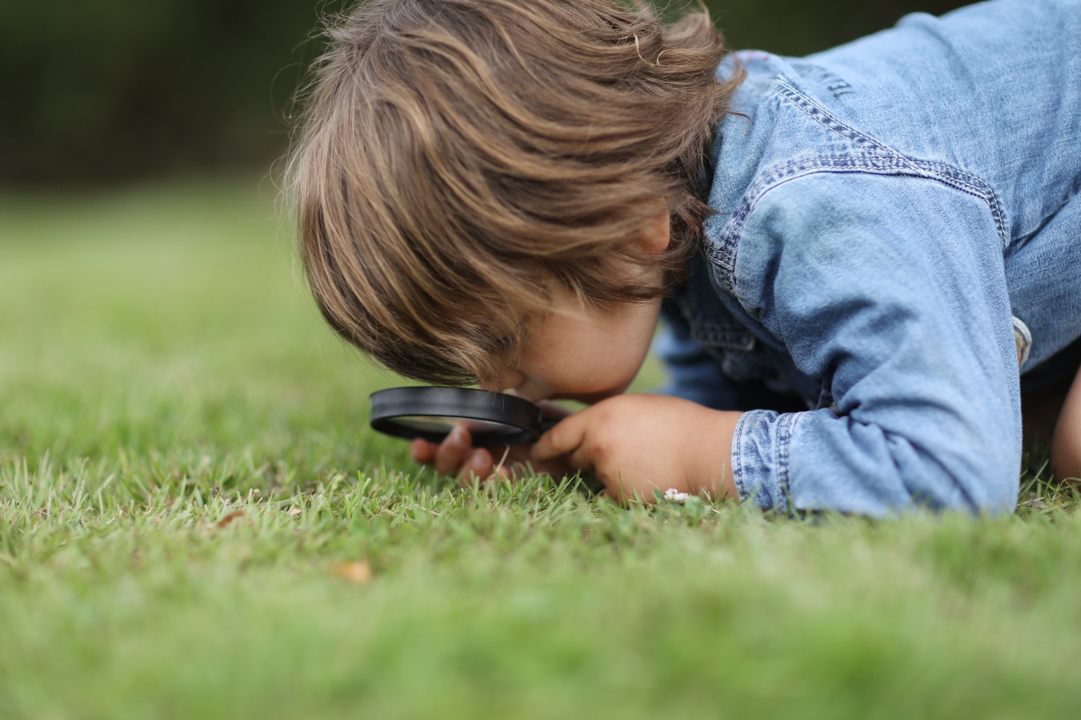 I Scrutinize My Stocks, And Assess What Stays And What Goes As Dec. 3 ...