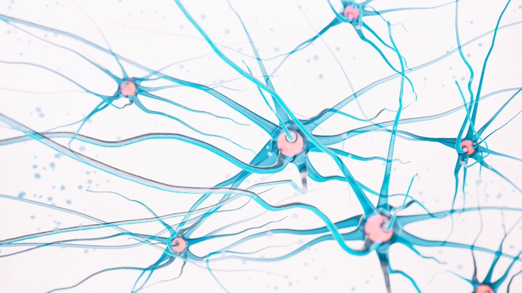 AVXL Share Price and News / Anavex Life Sciences Corp (NASDAQ)