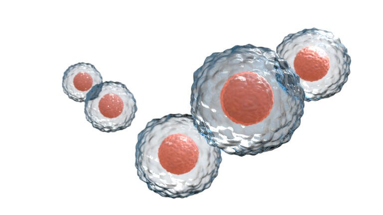 Athersys announces peer-reviewed publication on potential of MultiStem ...