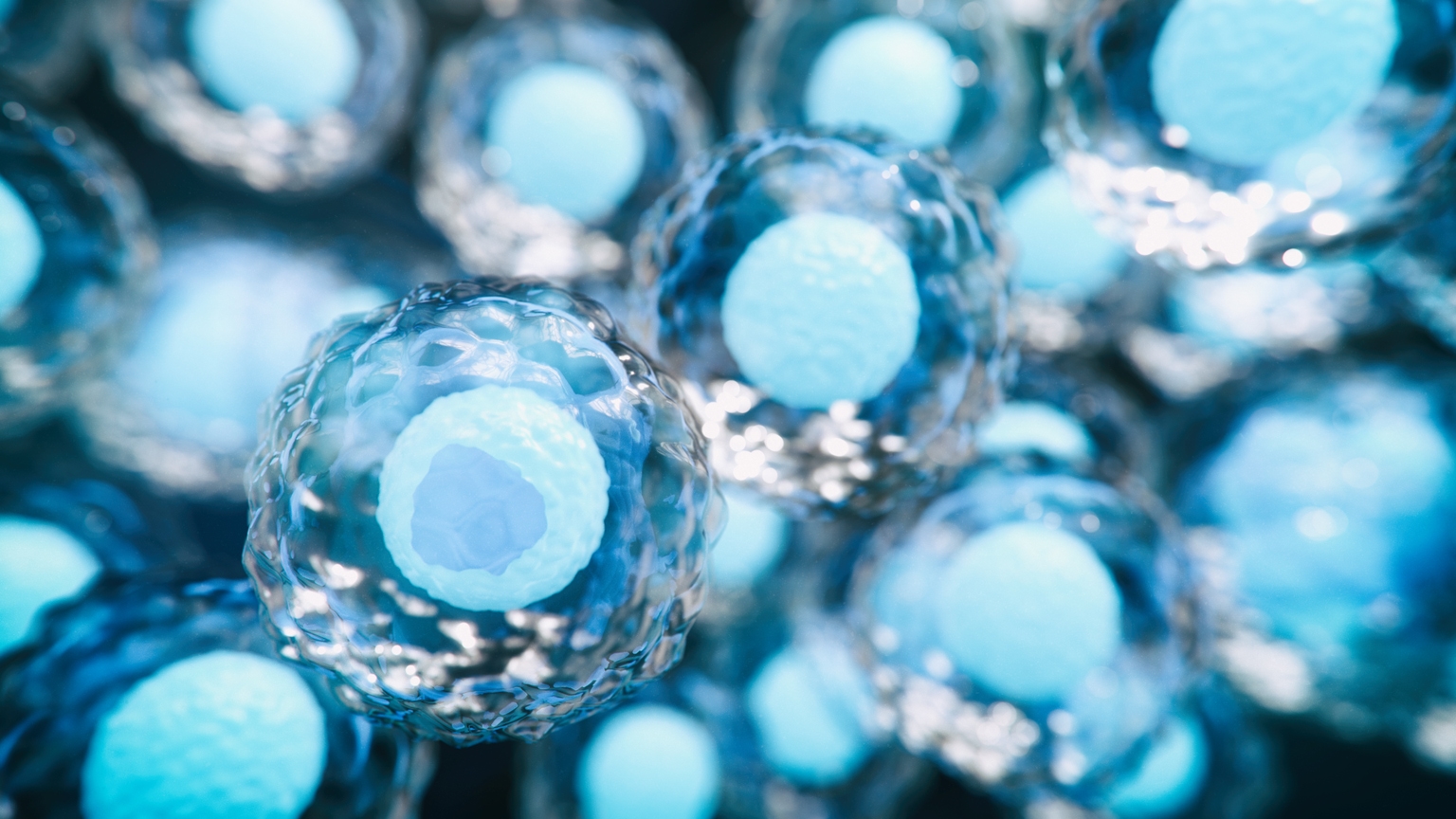 Autolus: Developing Better CAR-T In Refractory ALL (NASDAQ:AUTL ...