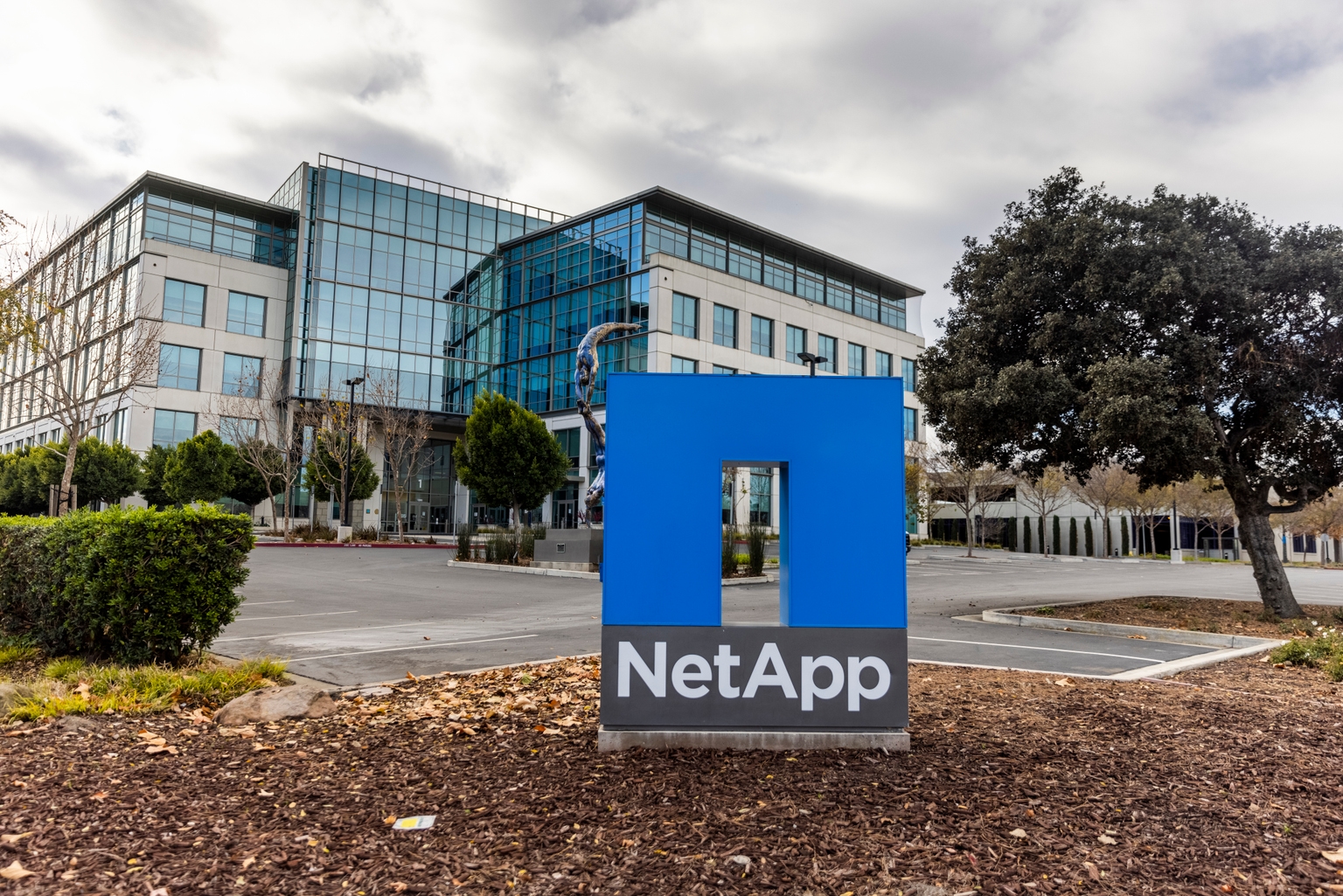 NetApp plummets after Q3 fiscal 2025 revenue misses mark (NTAP:NASDAQ ...