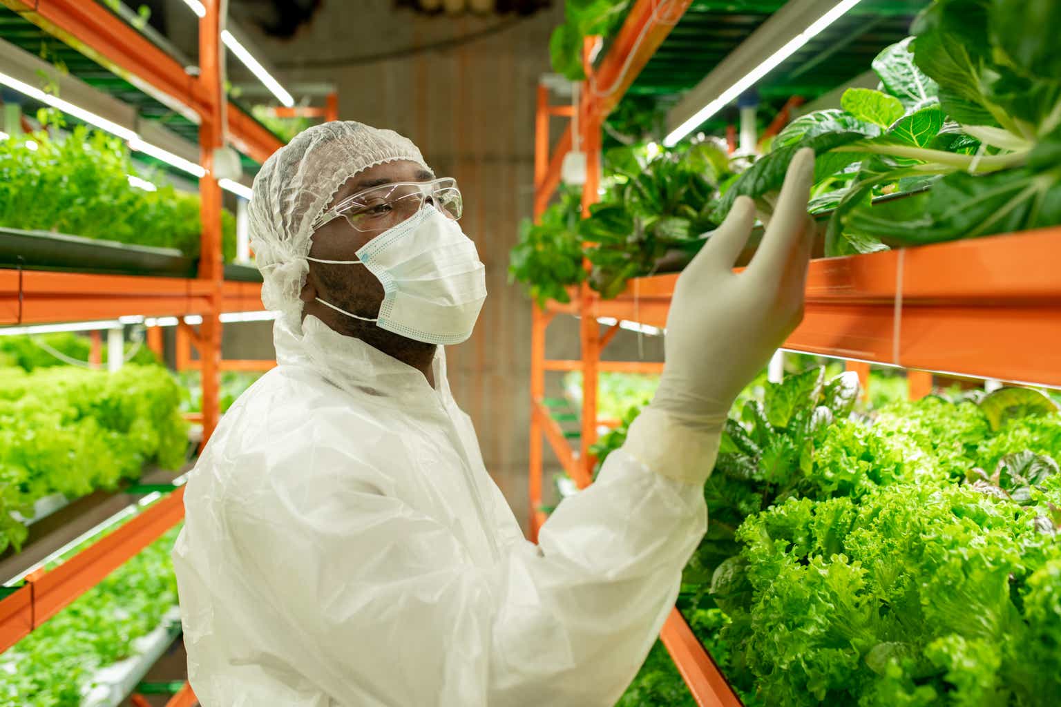 Neogen (NEO) Stock: Safety Food Giant In The Making | Seeking Alpha Neogen (NEO) Stock: Safety Food Giant In The Making | Seeking Alpha