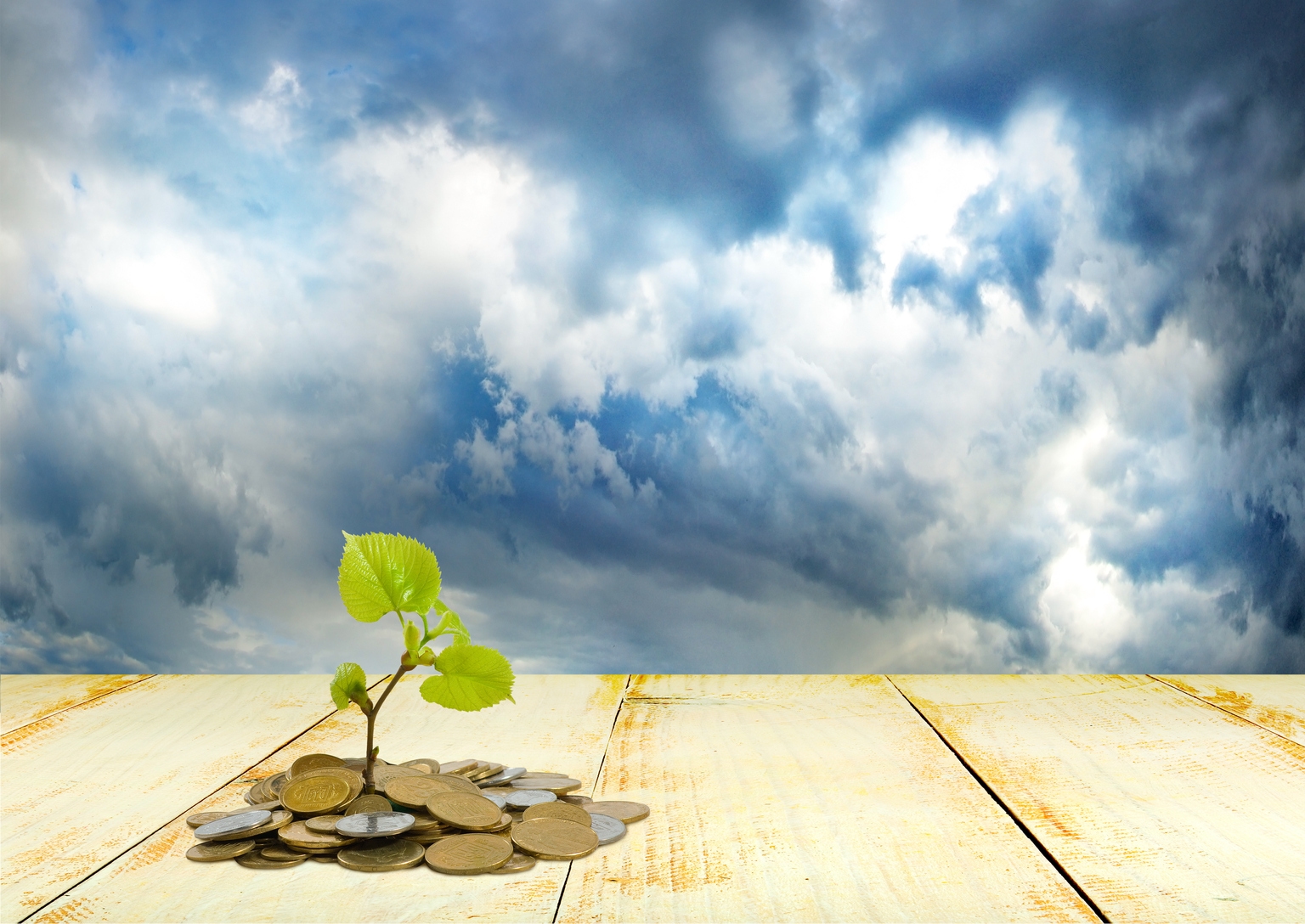 Fidelity Freedom 2045 Fund Q2 2024 Review | Seeking Alpha