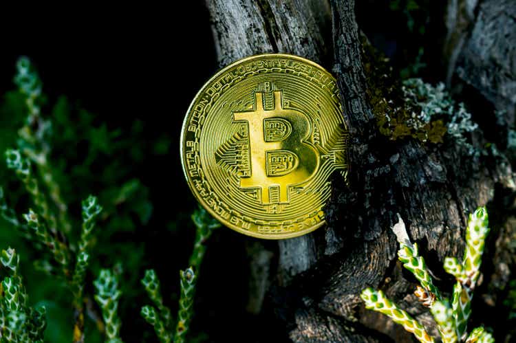 Iris Energy more than doubles self-mining capacity to 5.5 EH/s (NASDAQ ... Iris Energy more than doubles self-mining capacity to 5.5 EH/s (NASDAQ ...