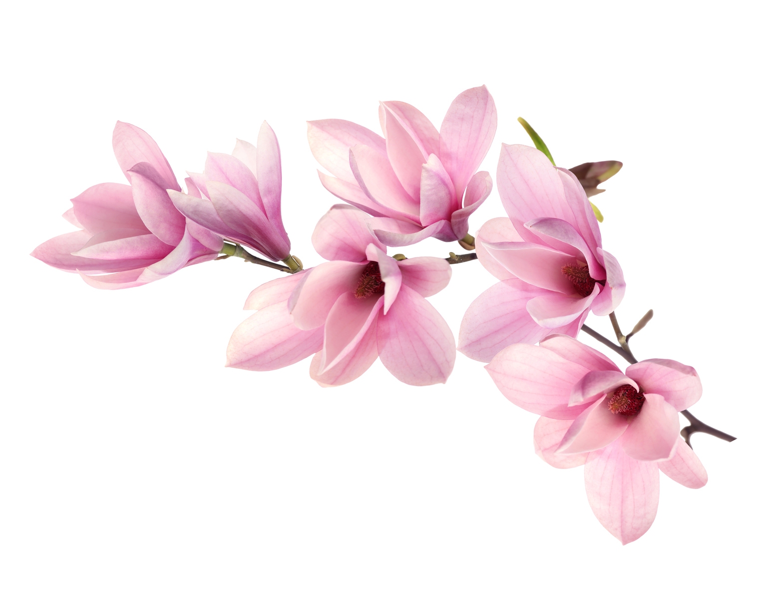 Magnolia Oil & Gas Continues To Grow Production With A Low Reinvestment ...