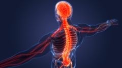 NervGen (NGEN:CA): Modulating Immune Cells For Spinal Cord Injury, MS ...