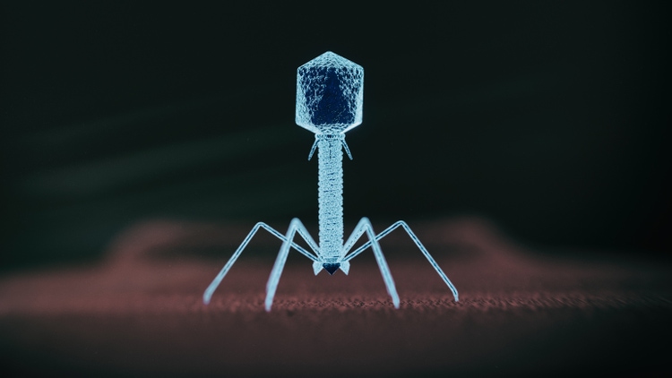 BiomX: BX004 Phage Cocktail Pt 2, Phase 1b/2a Clinical Results In ...