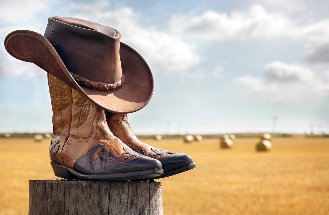 Boot Barn offers compelling entry point amid post-earning plunge ...