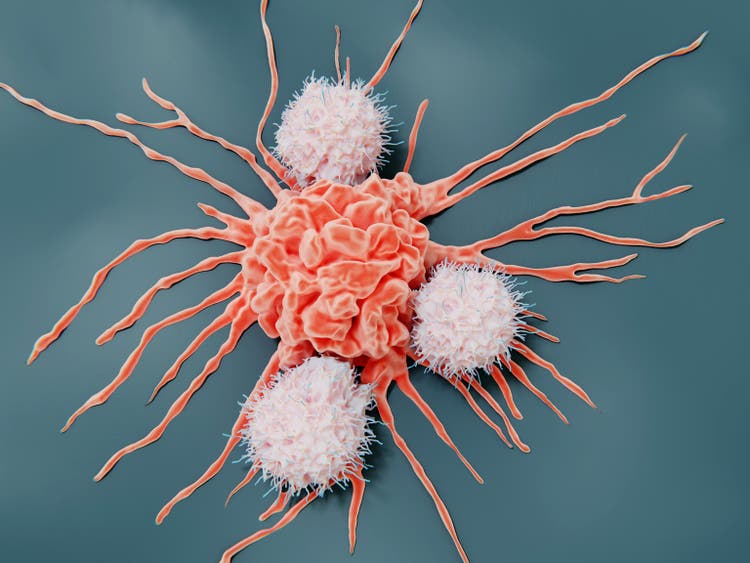 Affimed Afmd Shifts Attention To Risky Combination Therapy Seeking Alpha