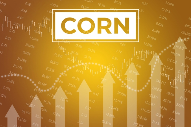 A Tighter 2026/27 Corn Market Suggests Prices Have Bottomed | Seeking Alpha