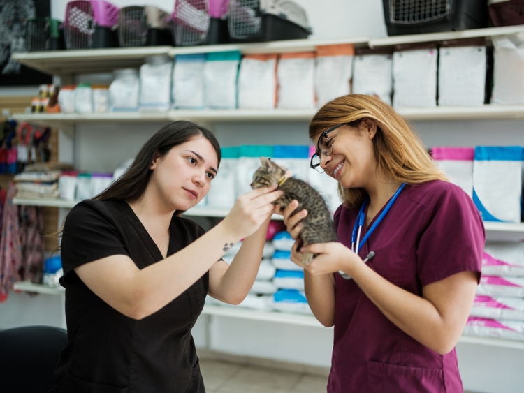 New Ruipeng Trots Out 'Pet Project' IPO (Pending:RPET) | Seeking Alpha