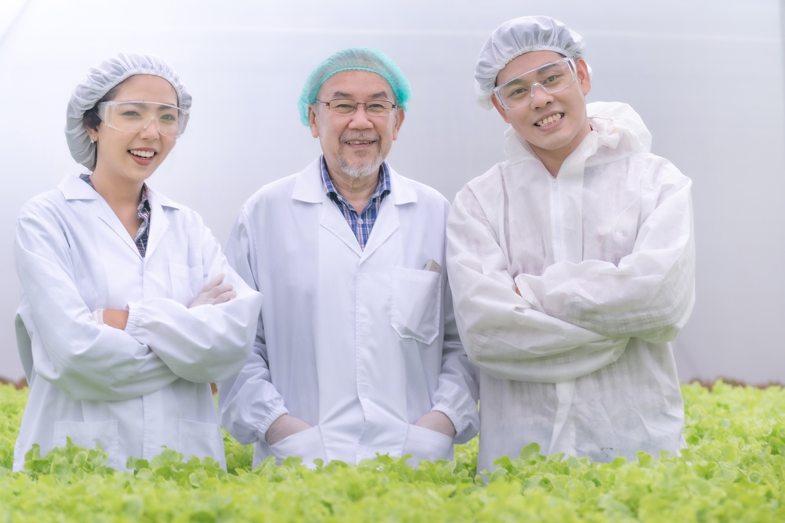 BioHarvest Sciences Stock: Growth Story Meets Valuation Reality (NASDAQ:BHST) | Seeking Alpha