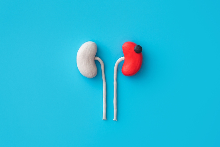 FDA clears IND application for Adicet Bio’s CAR T cell therapy ...