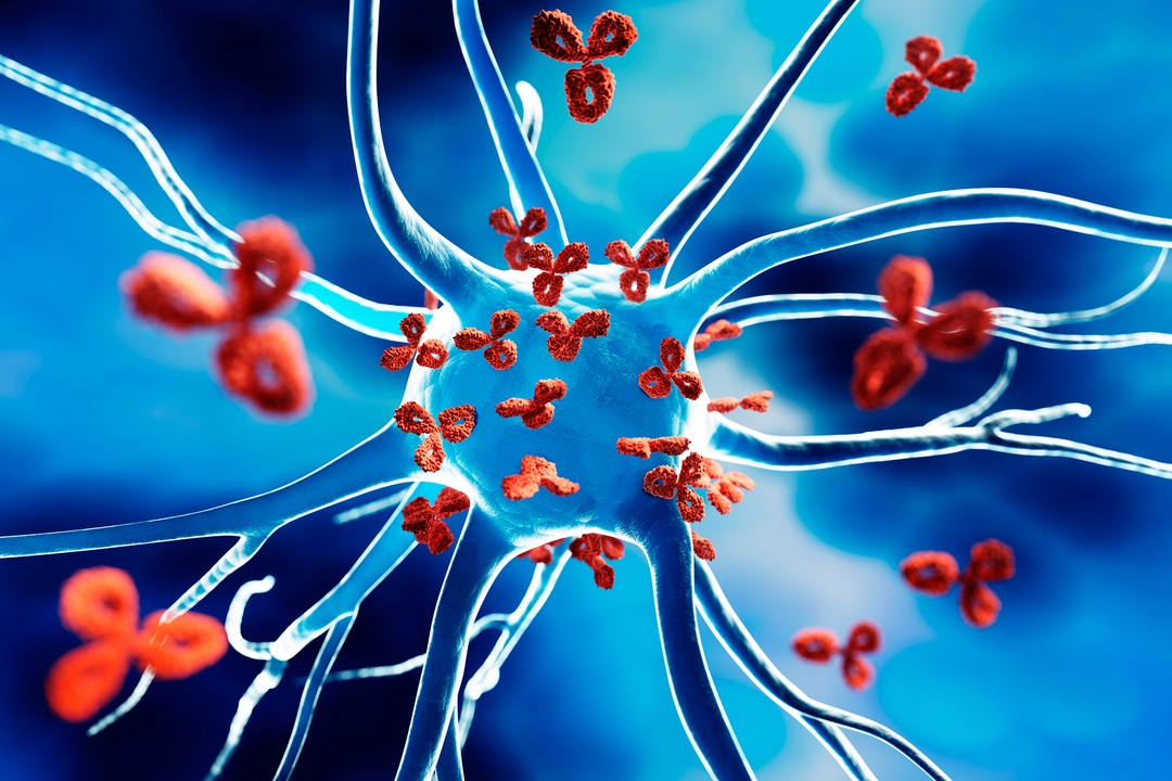 Autolus Therapeutics: The Story Has Improved (NASDAQ:AUTL) | Seeking Alpha