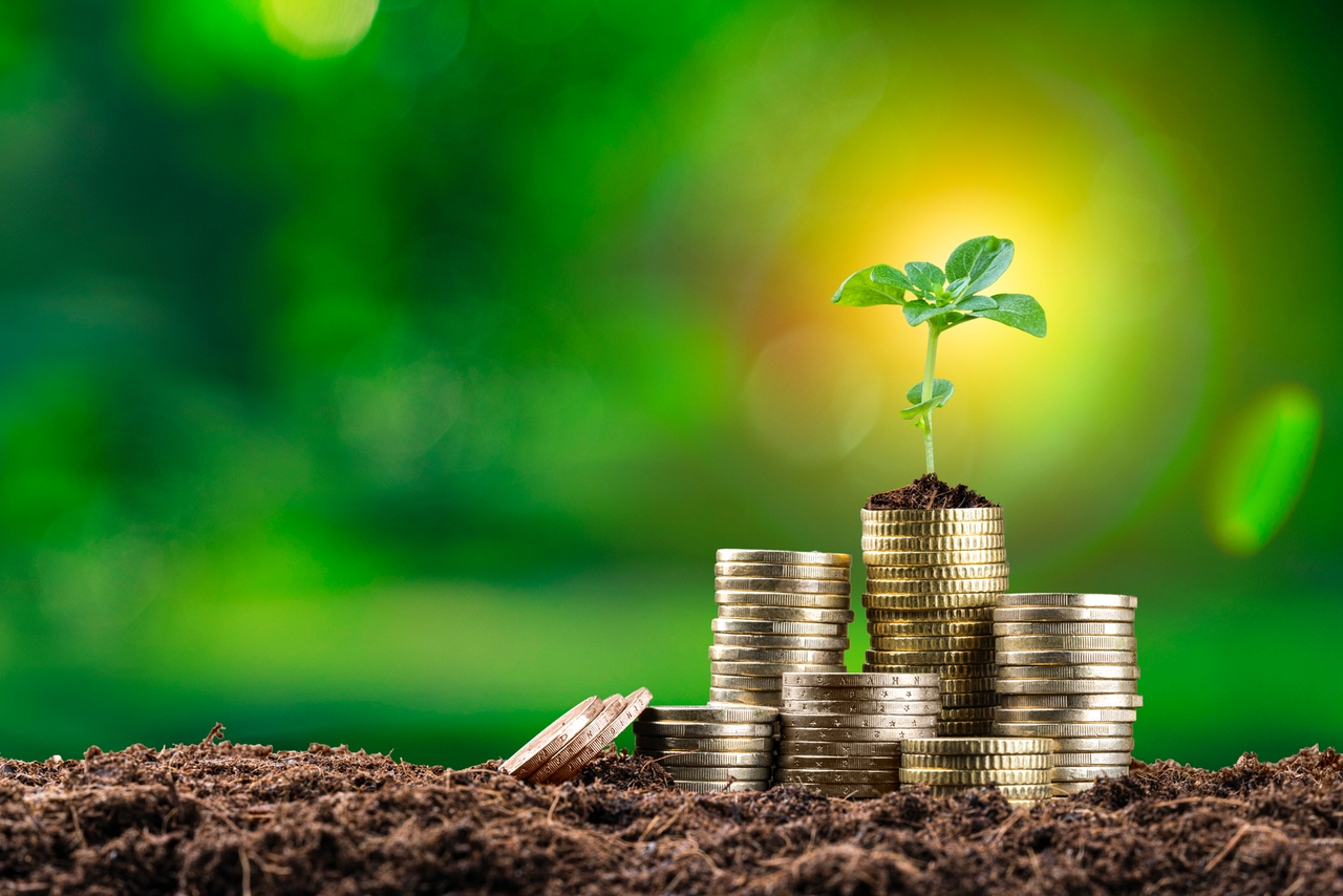 Thornburg Small/Mid Cap Core Fund Q2 2025 Commentary | Seeking Alpha