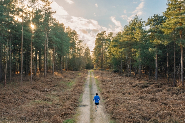 On Holding: Still A Long Way To Run, But Waiting For A Stumble To Buy ...