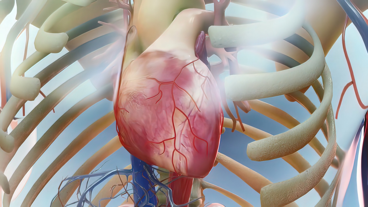 Aficamten Sets Cytokinetics Apart In Cardiomyopathy (CYTK) | Seeking Alpha