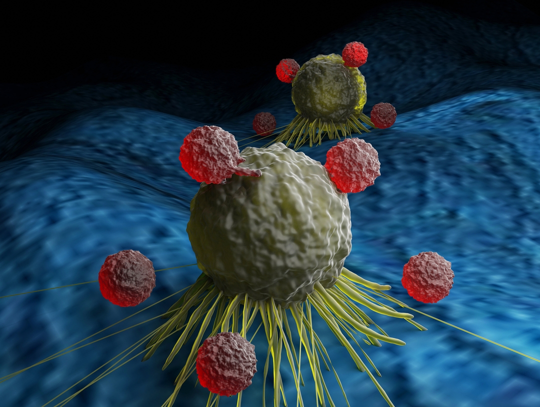 2seventy Bio: KarMMa-3 Finally Releases Positive Results (NASDAQ:TSVT) | Seeking Alpha