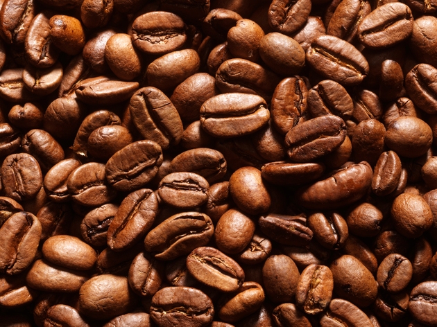 Coffee Holding (JVA): Stellar Q1, Improved Prospects, Bargain Valuation ...