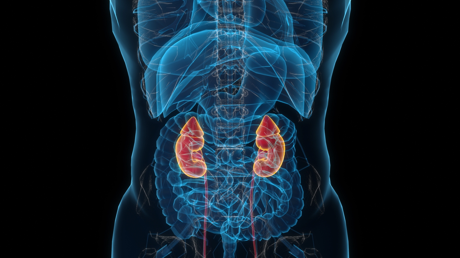 Everest's kidney disease drug Nefecon gets review in Singapore ...