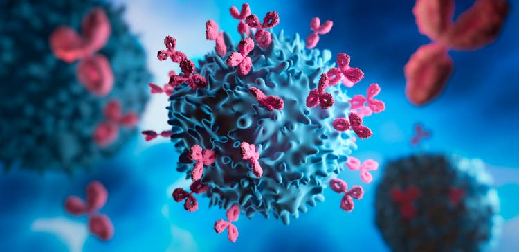 Pfizer-Genmab cervical cancer drug gets accepted for EU review (NYSE ... Pfizer-Genmab cervical cancer drug gets accepted for EU review (NYSE ...