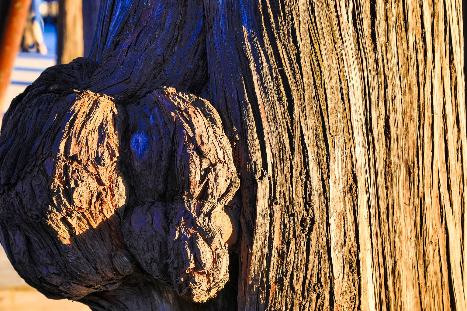 NovoCure Limited: A Post Q2 Analysis (NASDAQ:NVCR) | Seeking Alpha