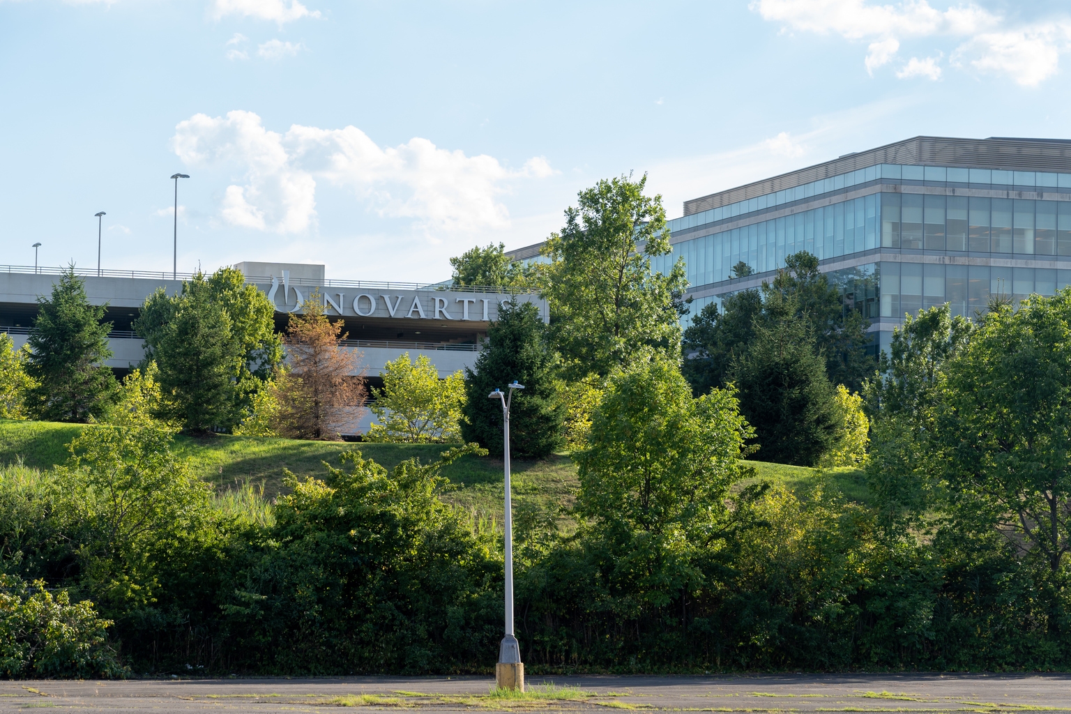 Novartis iptacopan beats AstraZeneca's Soliris/Ultomiris for rare blood ...