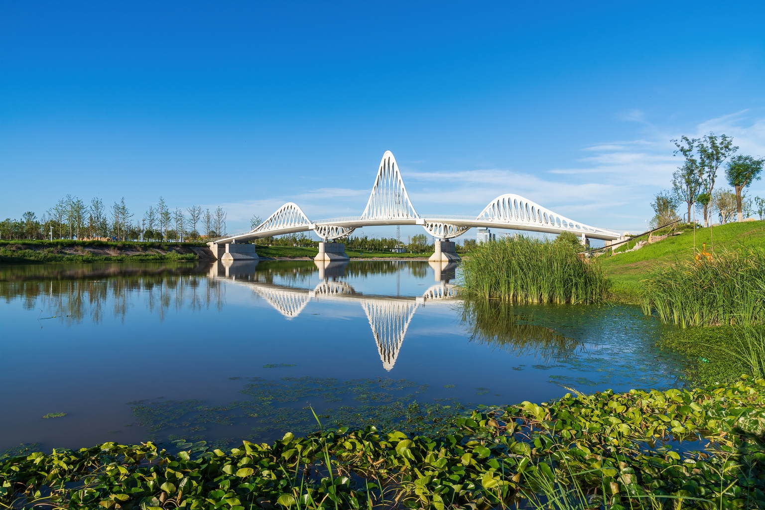 ClearBridge Mid Cap Growth Strategy Q3 2022 Portfolio Manager ...