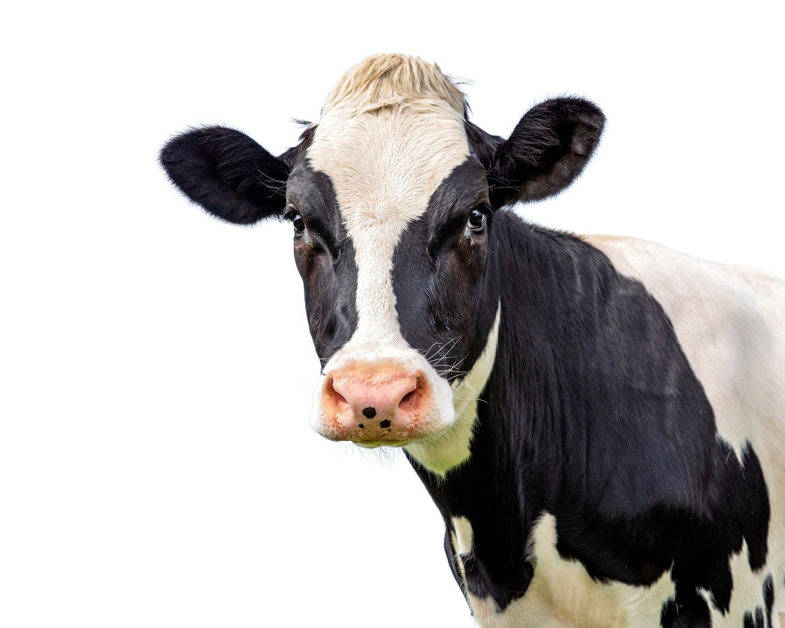 COWZ ETF: Ideal For The Broadening Trade And US Equity Rotation (BATS ...