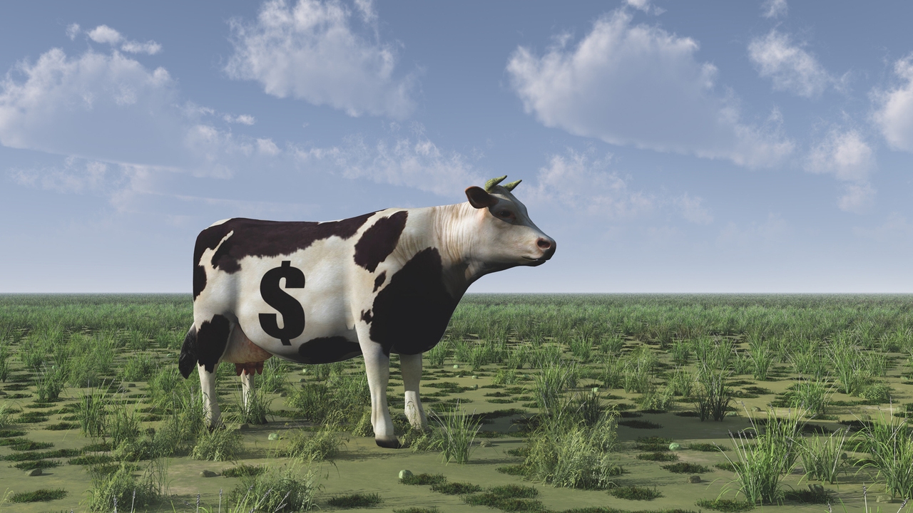 Cash Cows: 12 High-Yield REITs With Safe Dividends | Seeking Alpha
