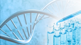 Allakos: Potential For Comeback With Lirentelimab With 2 Indications ...