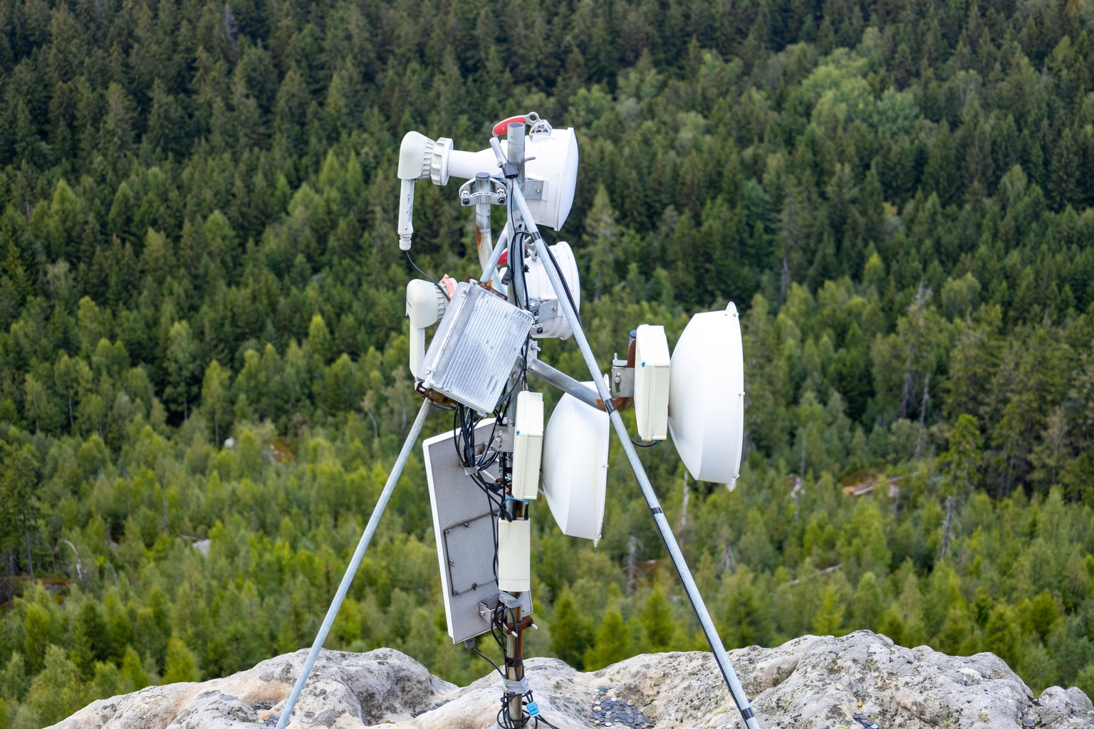 Aviat Networks: Upgrading On Stellar Cash Generation And Record ...