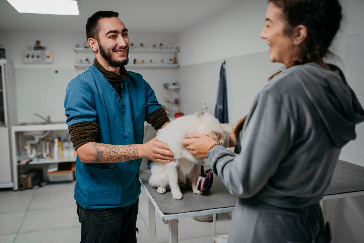 Inspire Veterinary Partners Seeks IPO For Acquisitions (IVP) | Seeking ...