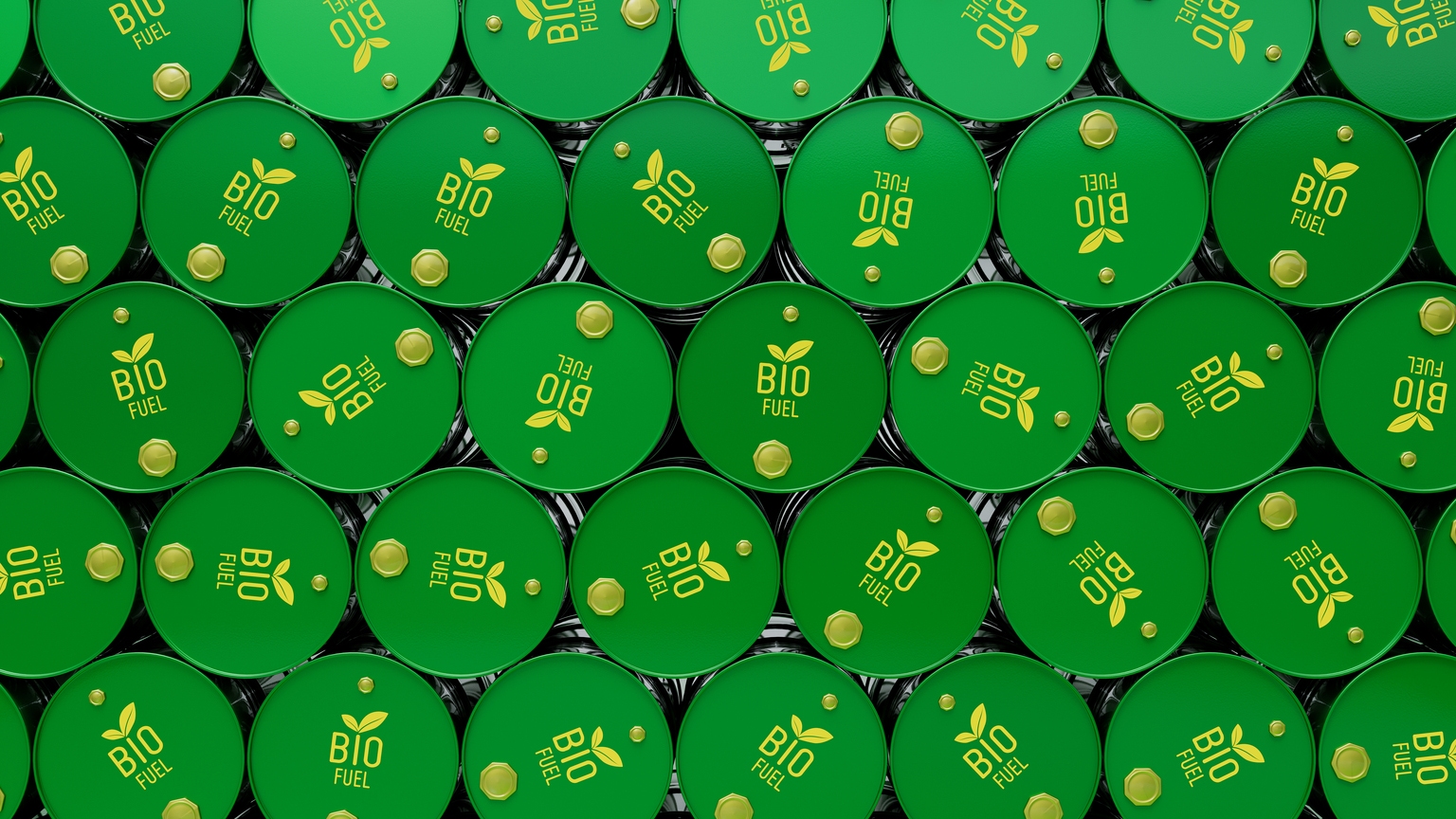 Darling Ingredients: Biodiesel Production As A Major Growth Driver ...