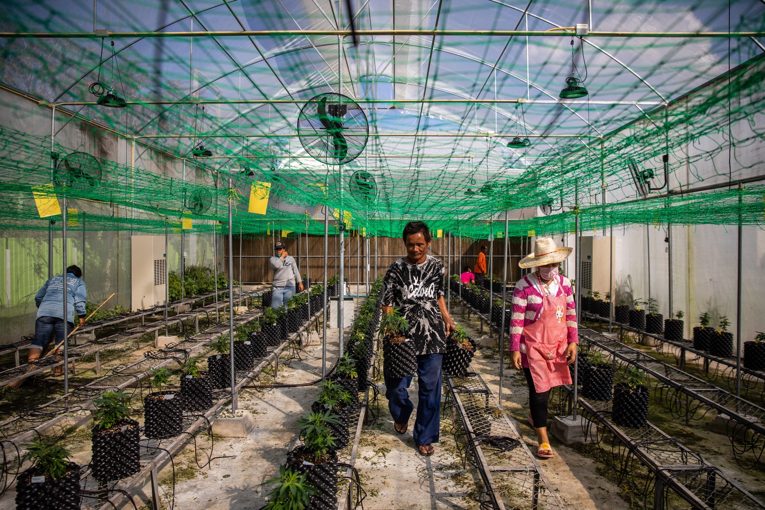 urban-gro Stock: Pricing Power In Cannabis Growing/Care (NASDAQ:UGRO ...