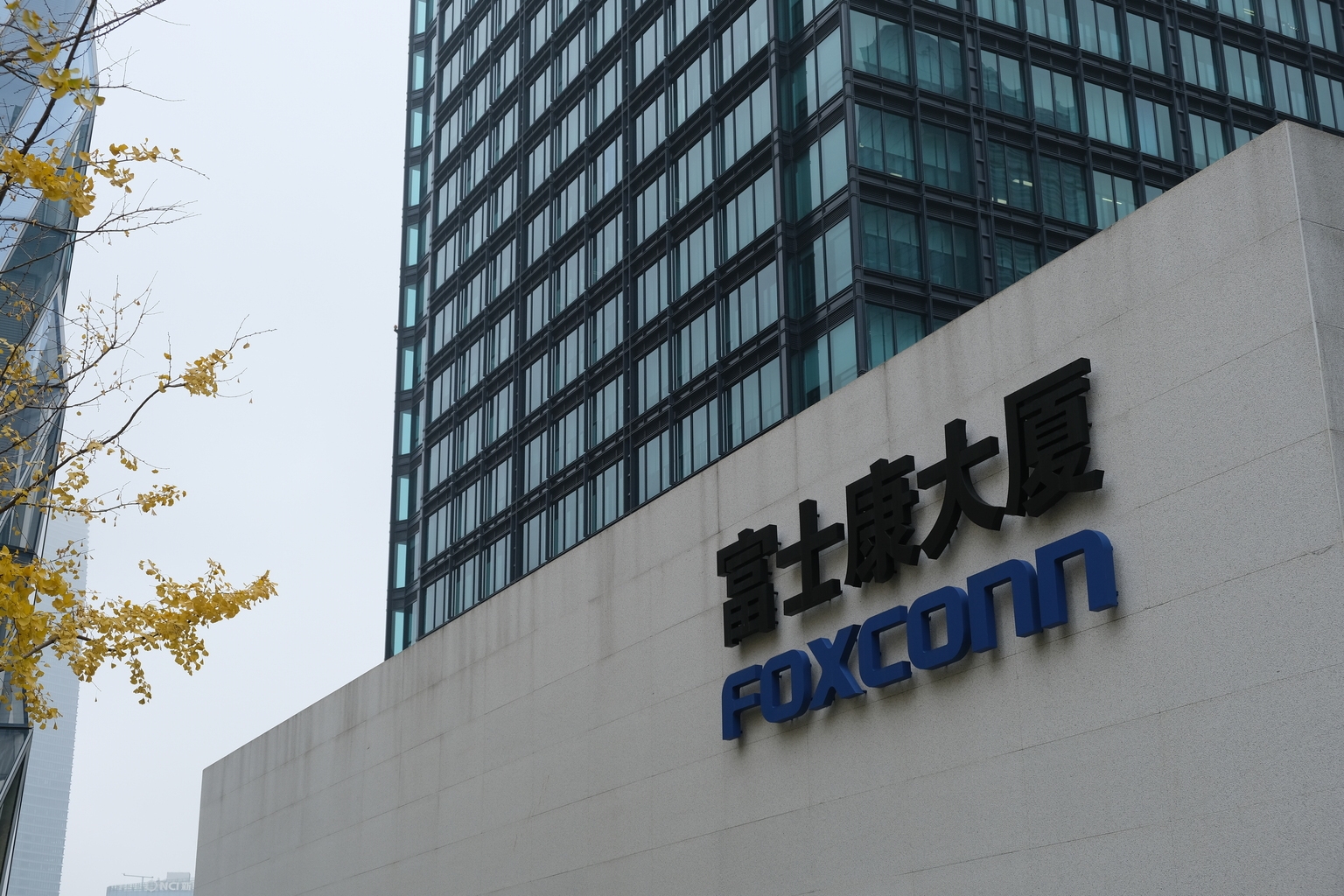 Foxconn sees strong growth in 2025 after Q4 net profit miss, AI server ...