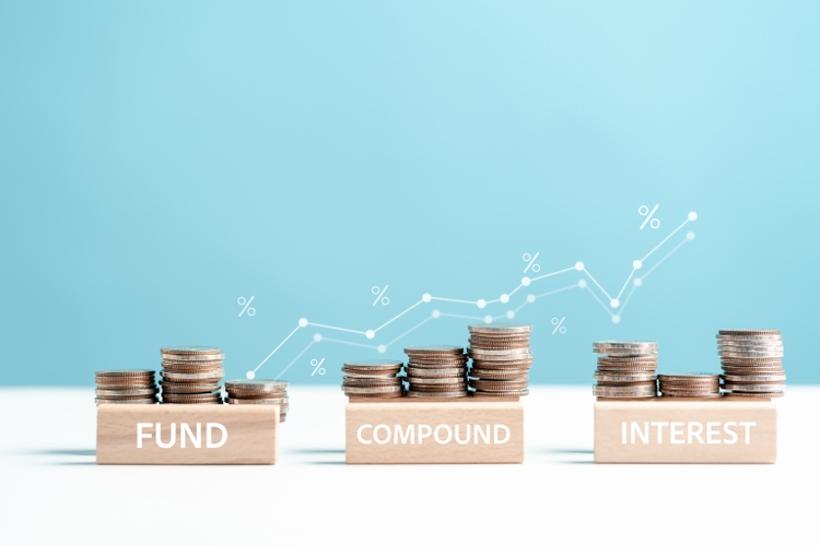 Columbia Disciplined Core Fund Q2 2025 Commentary (Mutual Fund:AQEAX ...