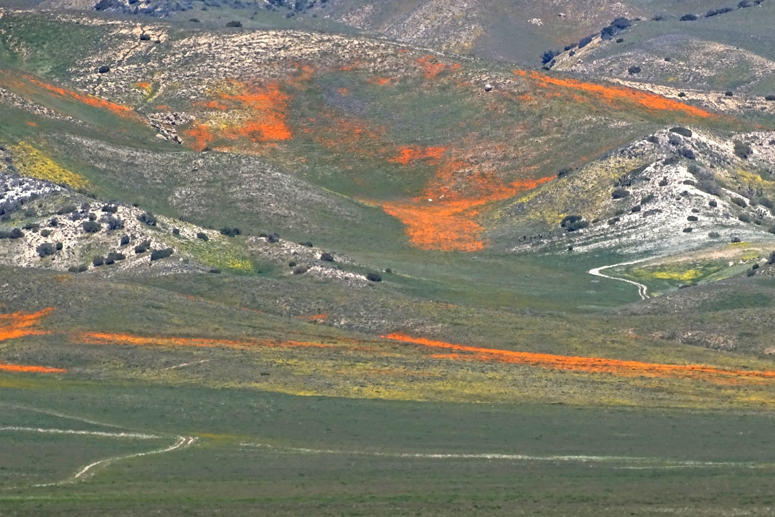 Tejon Ranch Stock: Shares No Higher Today Than In 1985 (NYSE:TRC ...